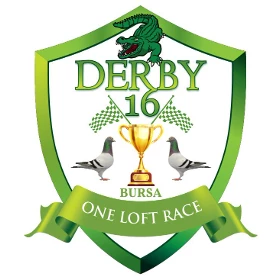 82 KM AKTİVASYON YARIŞI